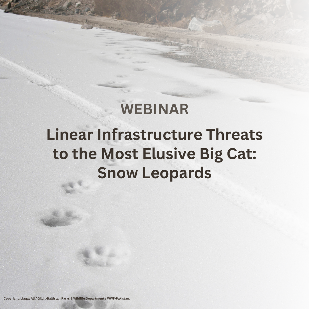 ALIGN - Knowledge Hub - Videos and Presentations | Pages | WWF