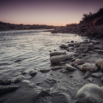 WWF - Endangered Species Conservation | World Wildlife Fund