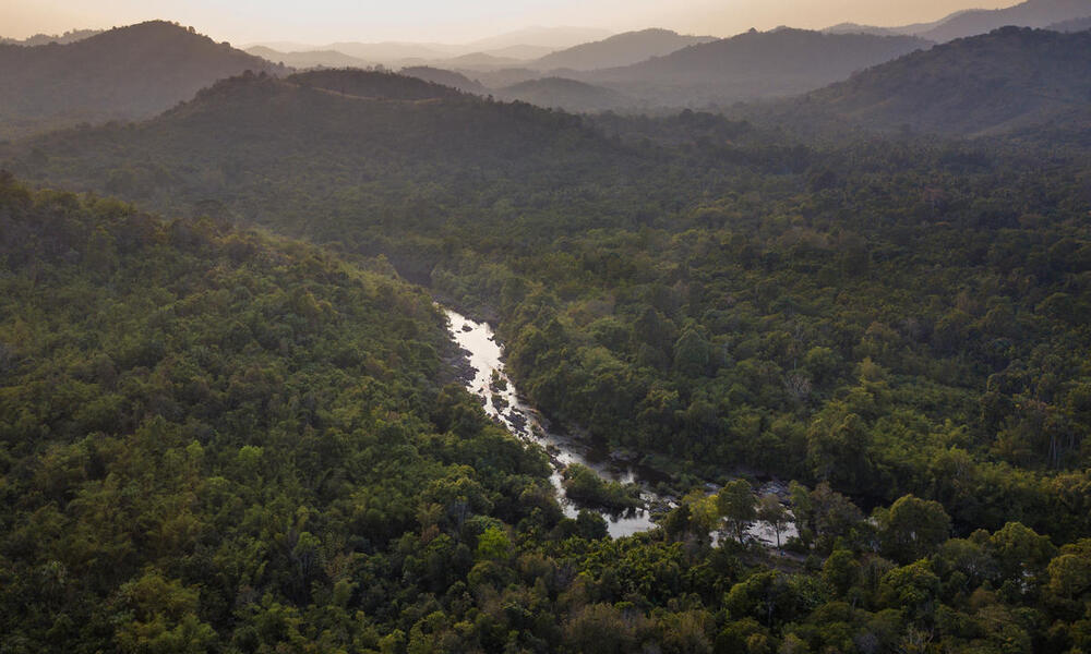 Tnrc Topic Brief Traceability Systems Potential Tools To Deter