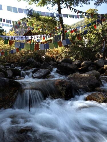 WWF - Endangered Species Conservation | World Wildlife Fund