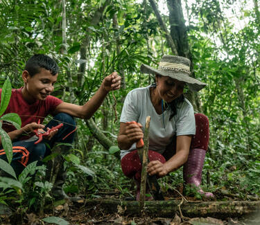 WWF - Endangered Species Conservation | World Wildlife Fund