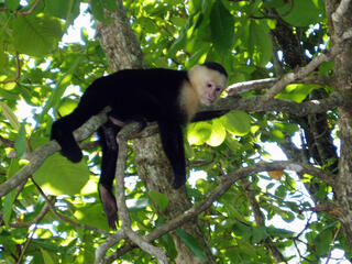 Photos & Videos | WWF