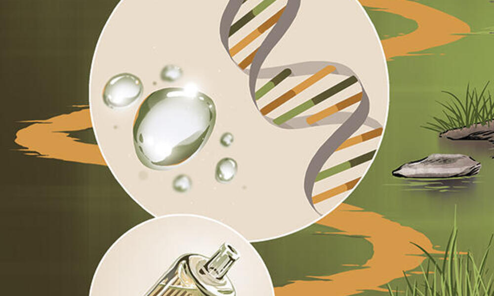 How scientists use eDNA to monitor biodiversity | Magazine Articles | WWF