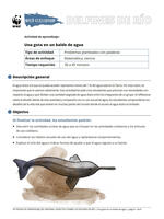 Dolphin Toolkit Spanish | Educators Toolkits | WWF