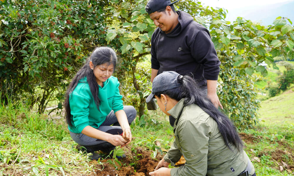 WWF otorga apoyo financiero a organizaciones comunitarias para la ...