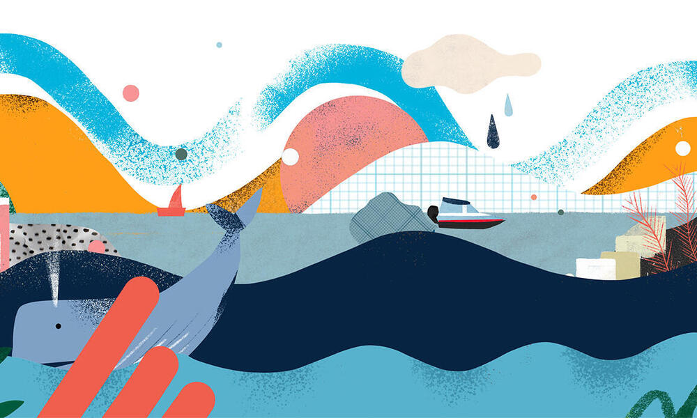 A new approach to conservation funding brings long-lasting solutions ...