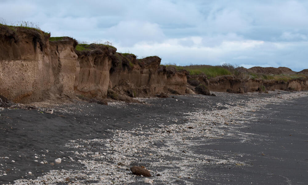 Estados Unidos sufrirá la mayor pérdida económica debido a la pérdida ...