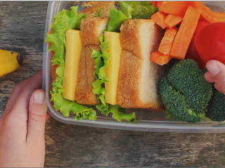 Teaching Resources | WWF