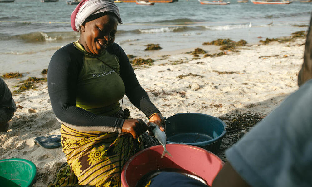 A Big Solution to a Small-Scale Fishing Challenge | Blog Posts | WWF