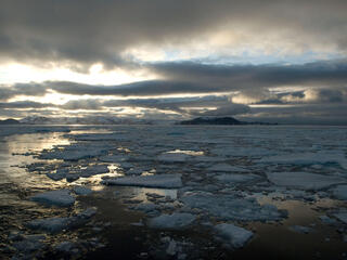 Photos & Videos | WWF