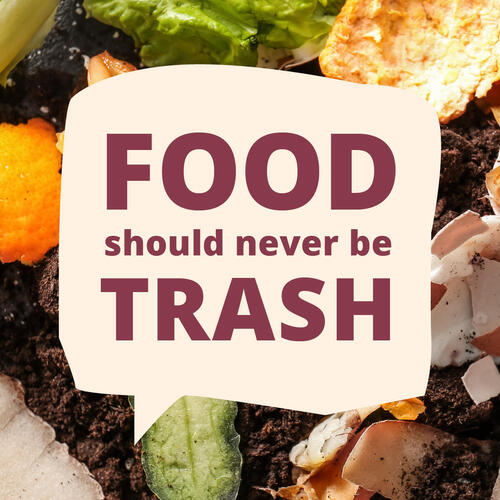 Food Waste Warriors Postcard Campaign | Pages | WWF