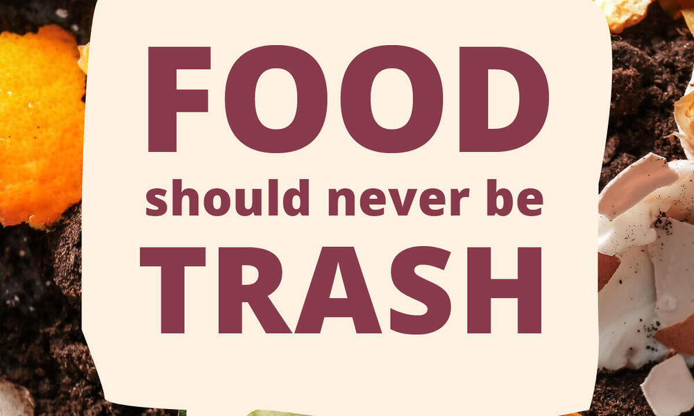 Food Waste Warriors Postcard Campaign | Pages | WWF