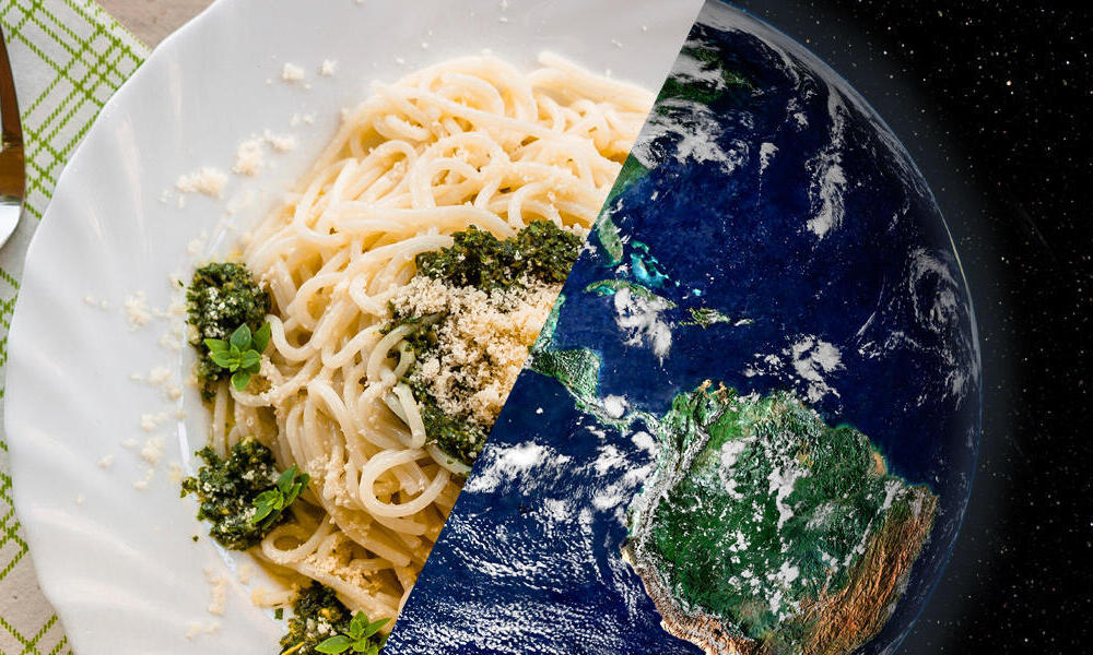 The Plate-Planet Connection | Pages | WWF