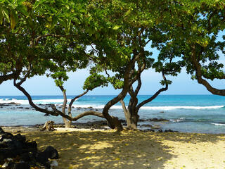 Photos & Videos | WWF