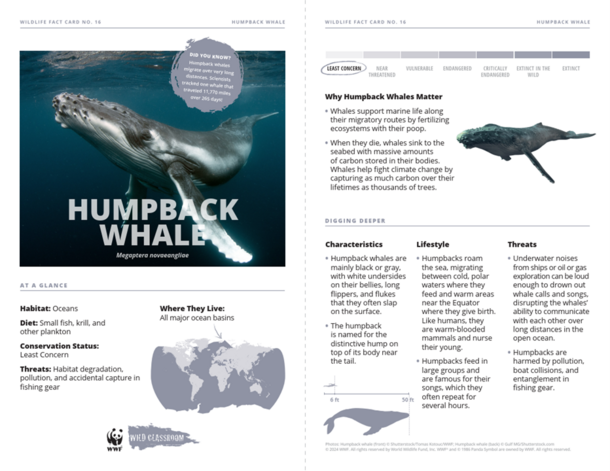 Teaching Tools about the Arctic | Educators Toolkits | WWF