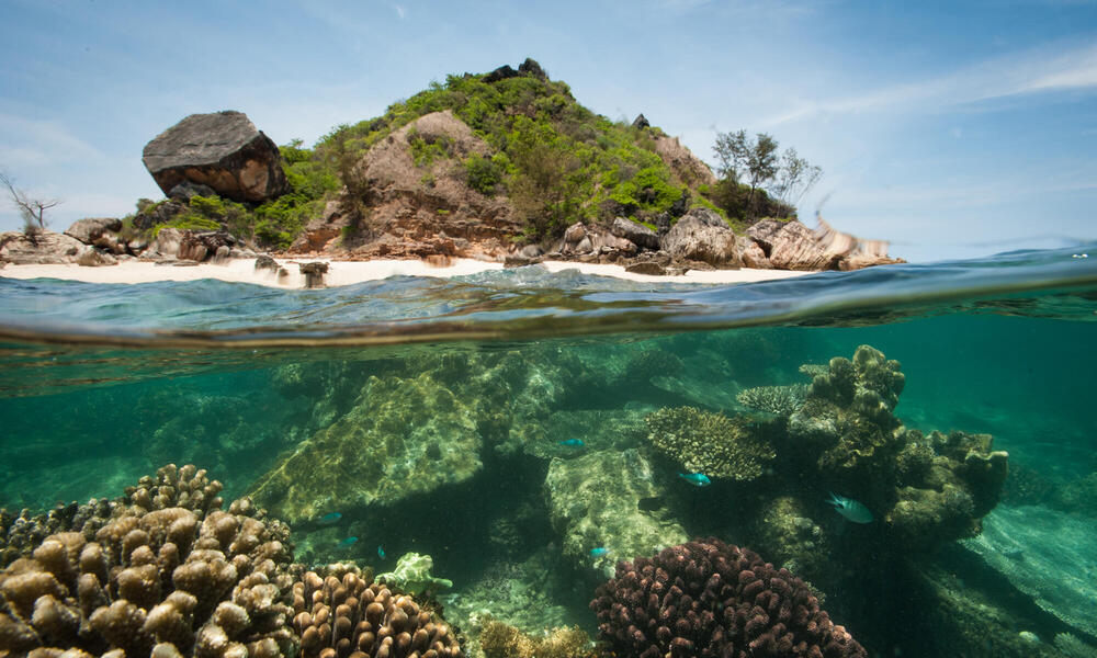 Southwest Indian Ocean | Places | WWF
