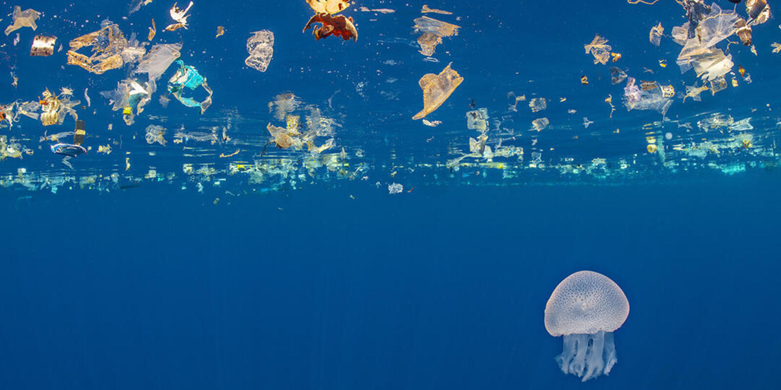 Hold companies responsible for keeping plastic out of nature