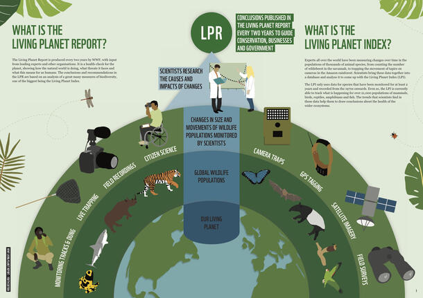 Living Planet Report 2020 Youth Edition Education Pack Educators Living Planet Report 2020 Youth Edition Education Pack Educators