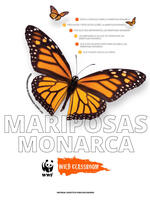 Monarch Toolkit Spanish | Educators Toolkits | WWF