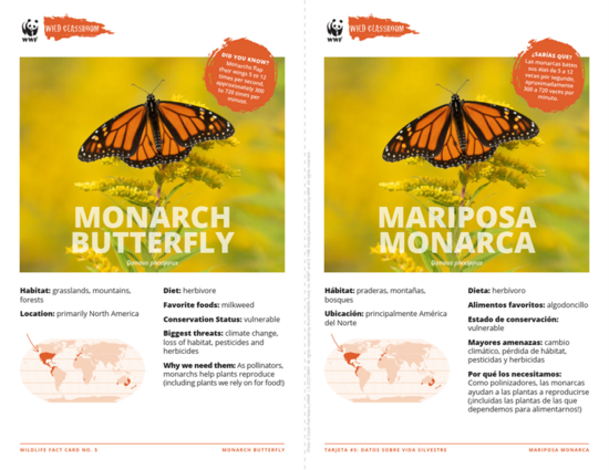 Wildlife Species Cards: PreK-2 & ELL | Educators Toolkits | WWF