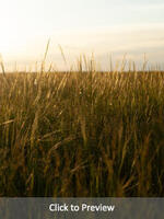 Our Planet Educator Guides | Educators Toolkits | WWF