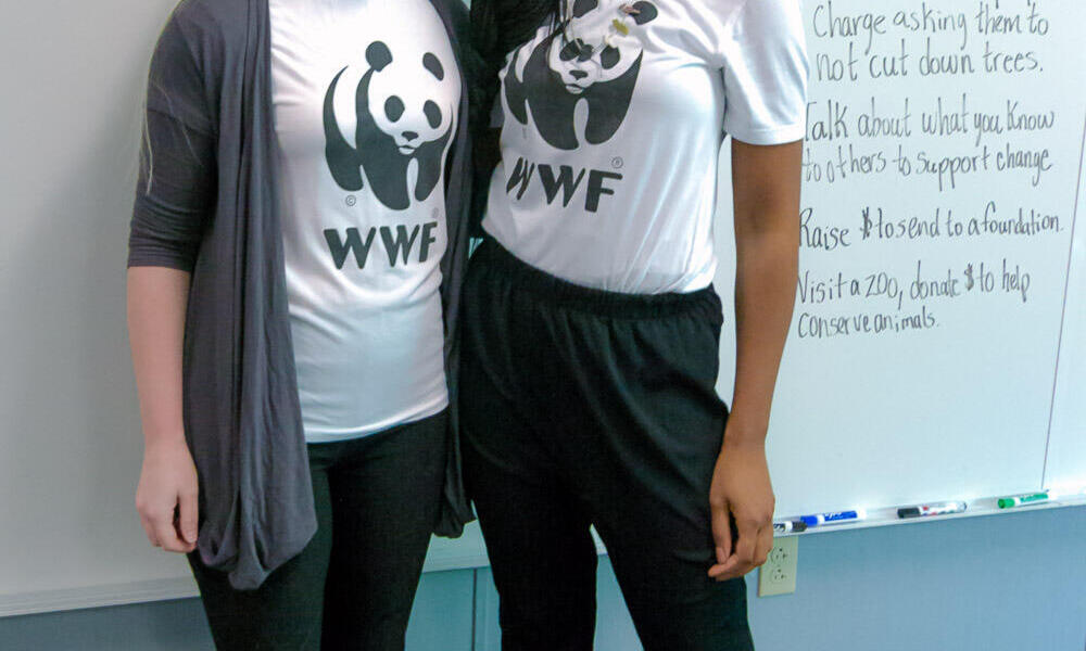 Panda Ambassadors Work Together for Wildlife | Pages | WWF
