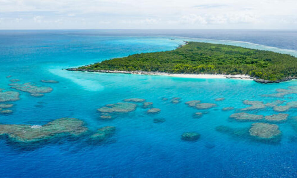 Charting a Future for our Oceans | Blog Posts | WWF