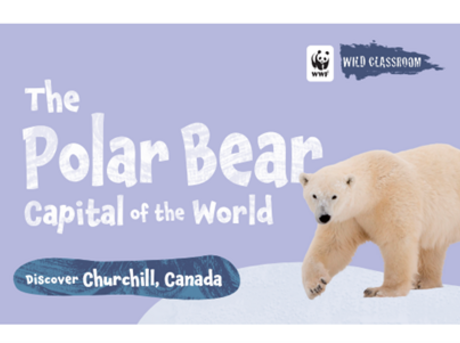 Teaching Resources | WWF