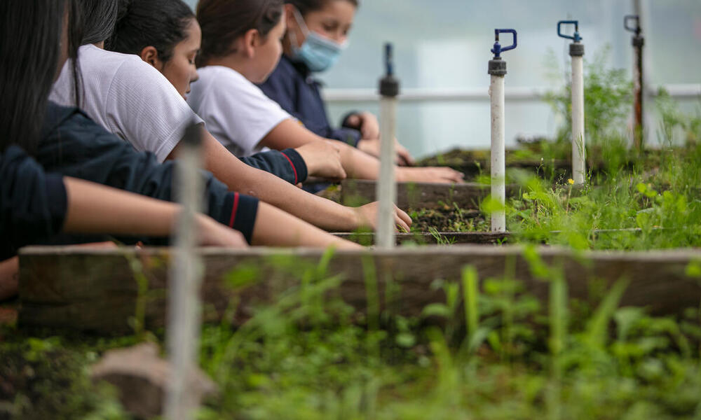 Hands-on STEM and science activities | Educators Toolkits | WWF