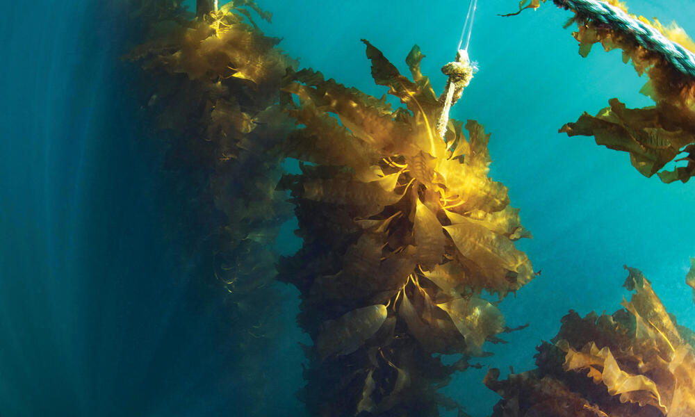 Testing the Waters | Magazine Articles | WWF