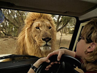 Photos & Videos | WWF