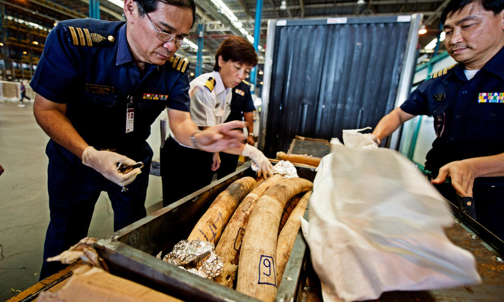 TNRC Introductory Overview Understanding effects of corruption on law ...