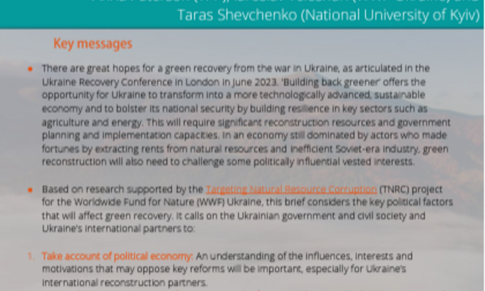 TNRC External Resource | The political economy of a green recovery in ...