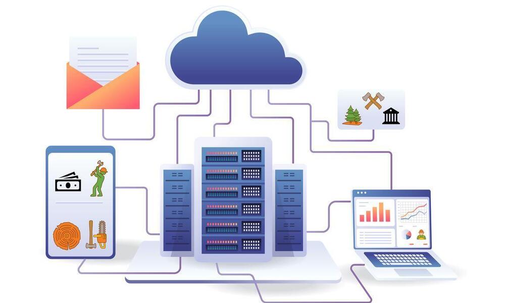 Tnrc Blog Harnessing Big Data To Uncover Corruption In The Forestry