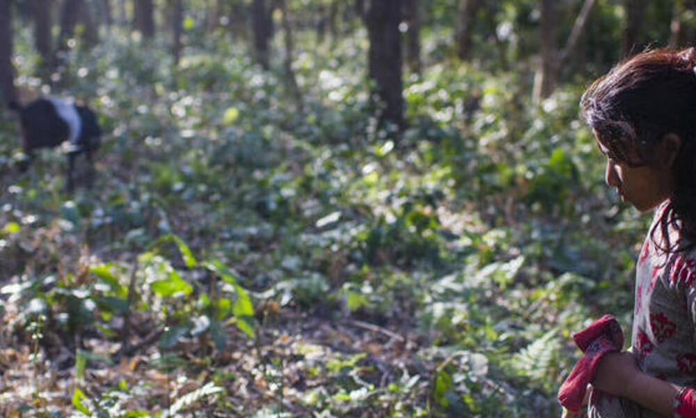 TNRC Nepal Case Study 2 | Pages | WWF