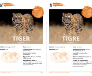 Wildlife Species Cards: PreK-2 & ELL | Educators Toolkits | WWF