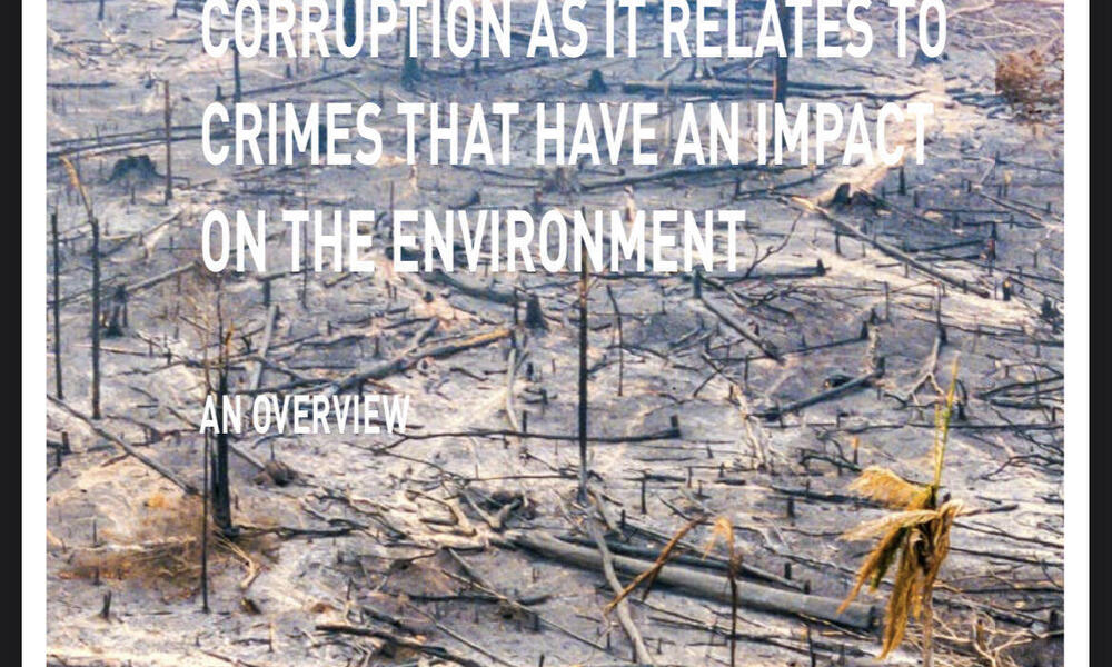 TNRC External Resource Preventing and Combating Corruption as it ...