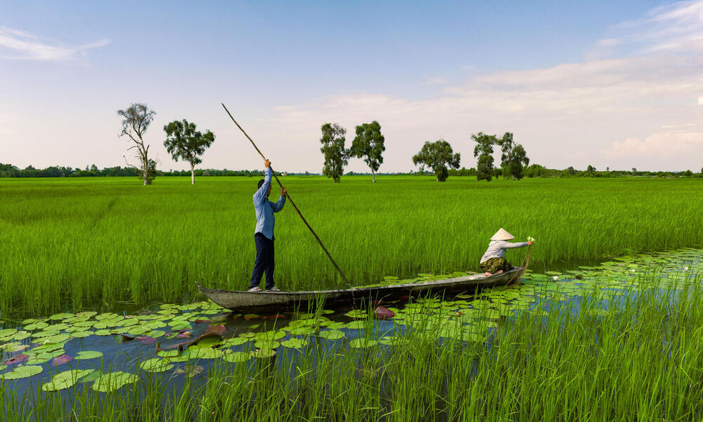 Viet Nam | Places | WWF