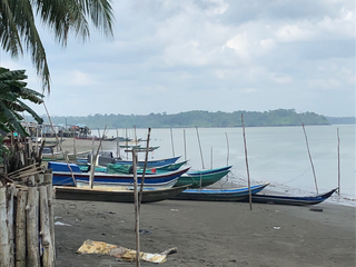 Photos & Videos | WWF