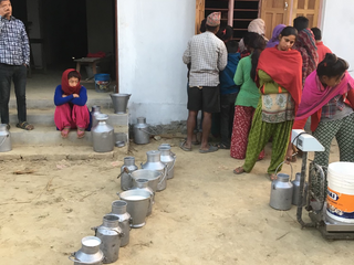 Photos & Videos | WWF