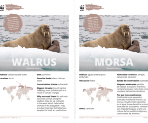 Wildlife Species Cards: PreK-2 & ELL | Educators Toolkits | WWF