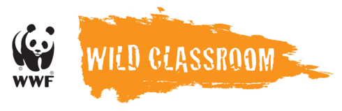 The Wild Teacher S Lounge Pages Wwf