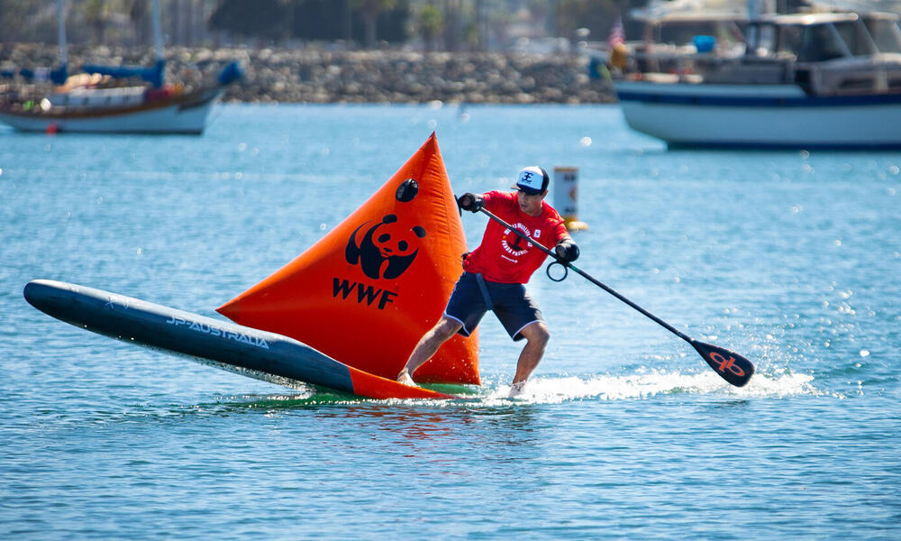 Panda Paddle returns with a new way to stand up for wildlife | Magazine ...