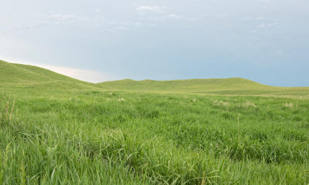 Teaching Tools about the Grasslands of The Great Plains | Educators ...