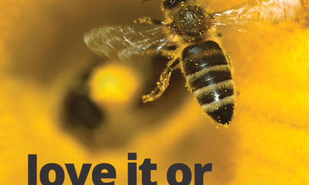 WWF national branding campaign marks 2021 as the year to show your love ...