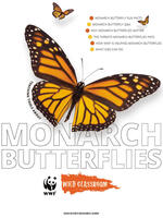 Monarch Toolkit | Educators Toolkits | WWF