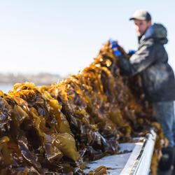 Conservation Current Events | Educators Toolkits | WWF